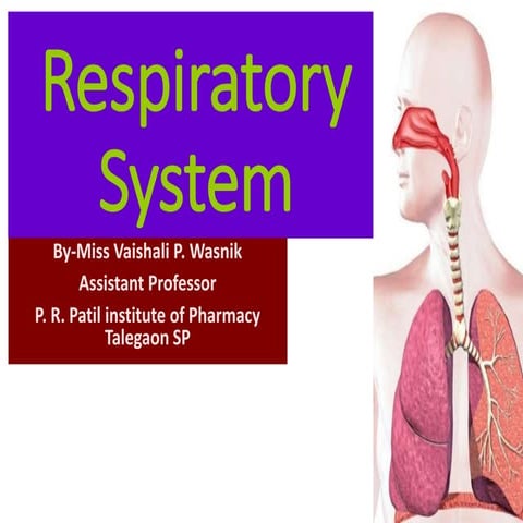 anatomy and physiology of respiratory system.pptx