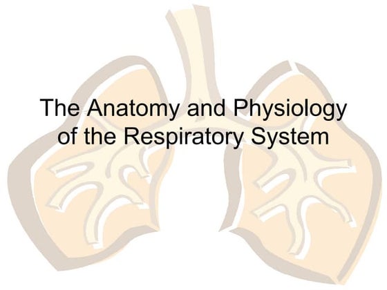 respiratory system2.pptx