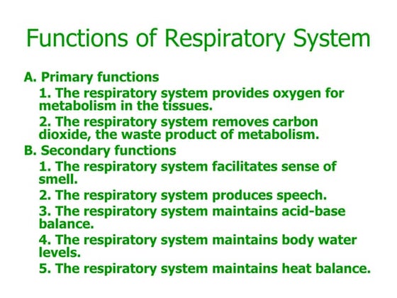 Respiratory System GRADE 6.pptx | Lung and Respiratory Health ...