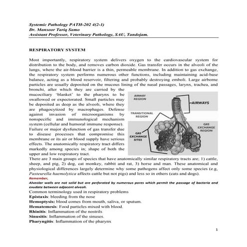 Respiratory system systemic pathology path 202 | PDF