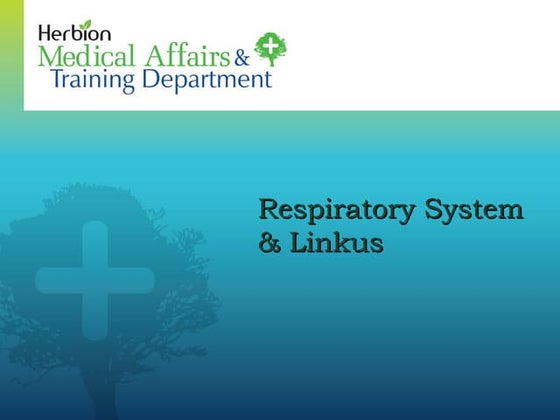 The respiratory system | PPT