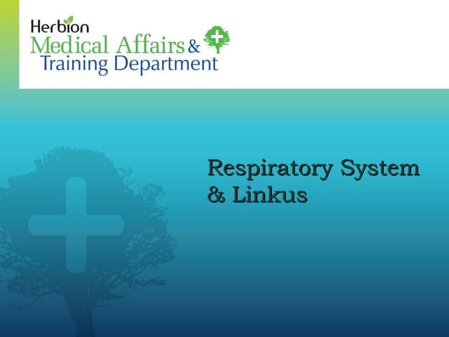 Grade 8 - Respiratory System | PPT