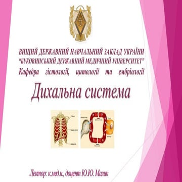 Дихальна система | PDF