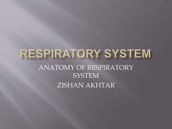 ANATOMY OF RESPIRATORY TRACT upper and lower tract | PPTX | Lung and Respiratory Health ...