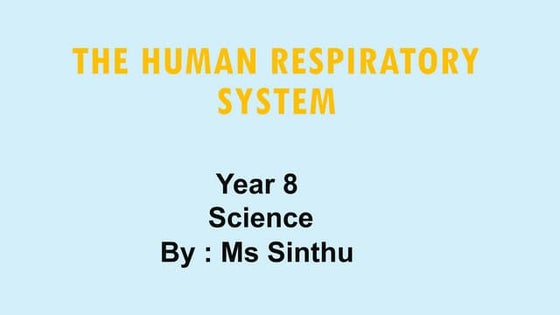 Lower Secondary Science Grade 8 Chapter 1 Respiration.pptx | Lung and ...