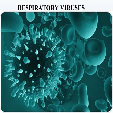 Respiratory viruses 14 including influenza. | PPT