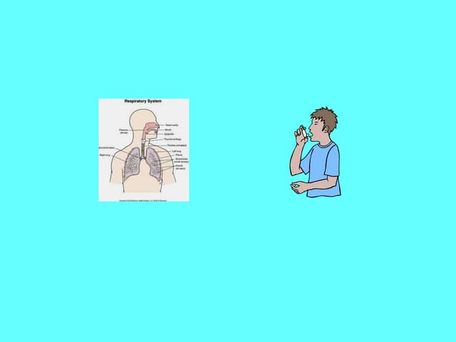Pptx system respiratory atau sistem pernapasan | PPTX