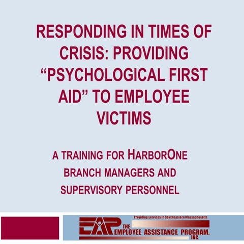 Responding in Times of Crisis: Providing Psychological First Aid | PDF