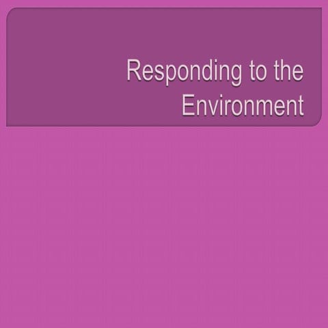 Responding to the Environment | PPTX