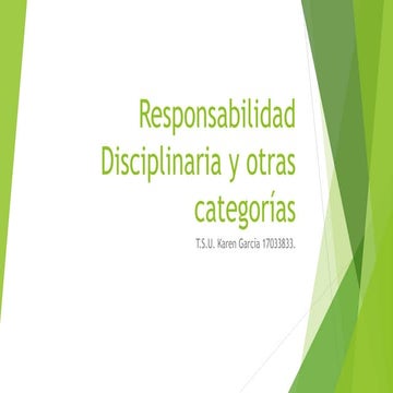 Responsabilidad disciplinaria y otras categorías | PPT