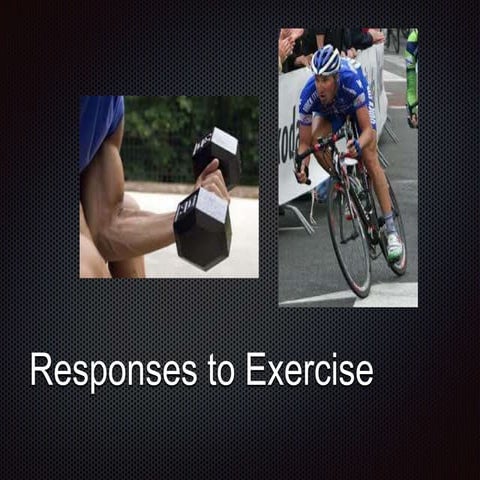 Responses to exercise | PPTX