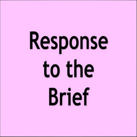 Response to the Brief | PPTX