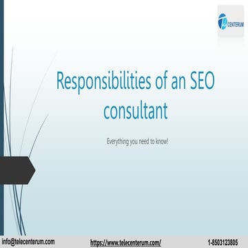 Responsibilities of an SEO consultant.pptx