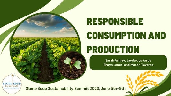 RESPONSIBLE CONSUMPTION AND PRODUCTION.pptx | Environmental Services ...