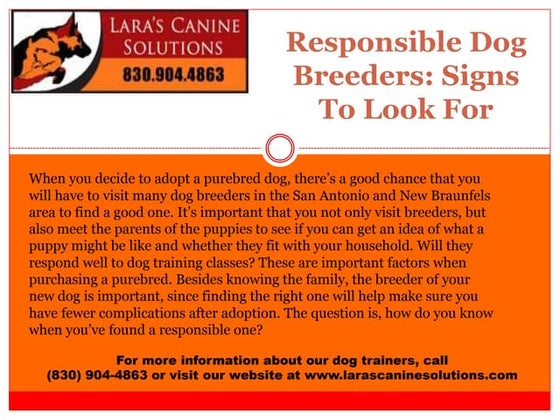 Dog Grooming Courses | PDF | Pet Insurance | Insurance
