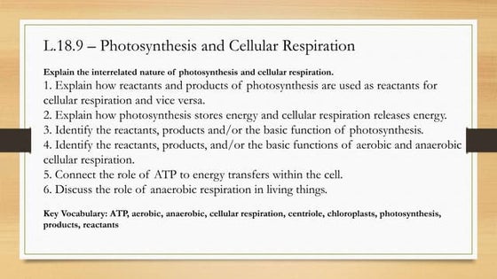Cellular respiration introduction for 9th grade biology | PPT