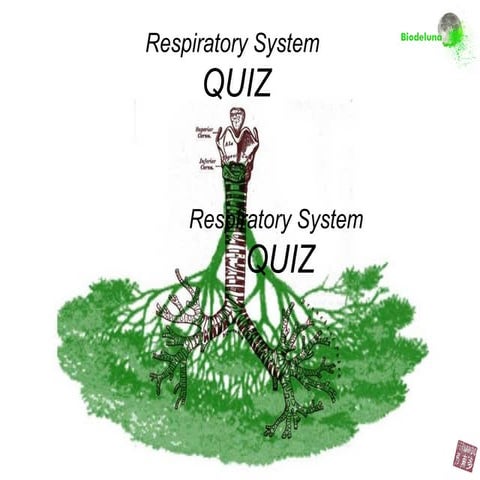 Respiratory system - Quiz | PPS