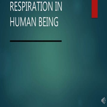 Respiration in human being | PPTX