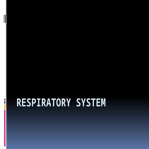 resp_sys.pptx pppt on respiratory system | PPTX