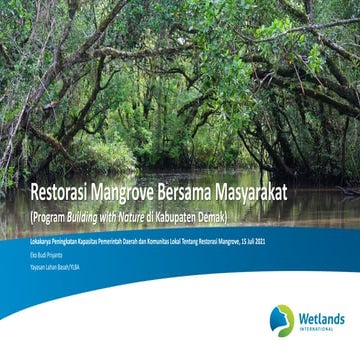 Restore mangrove with the local community: Building with Nature Program ...