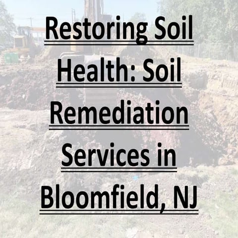 The Future of Soil Remediation: Innovations in Land Restoration | PPTX