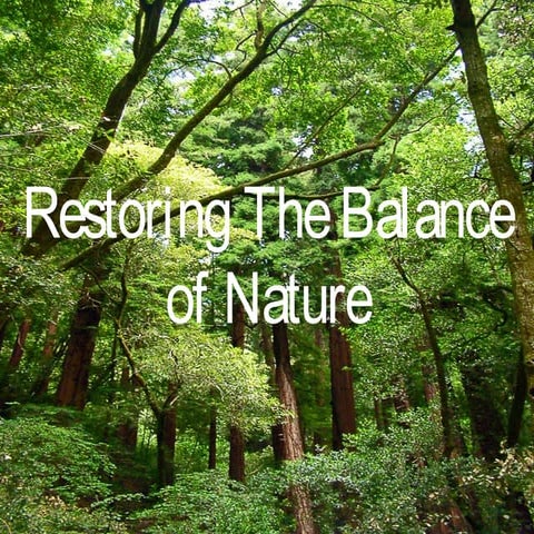 Restoring the Balance of Nature | PPT