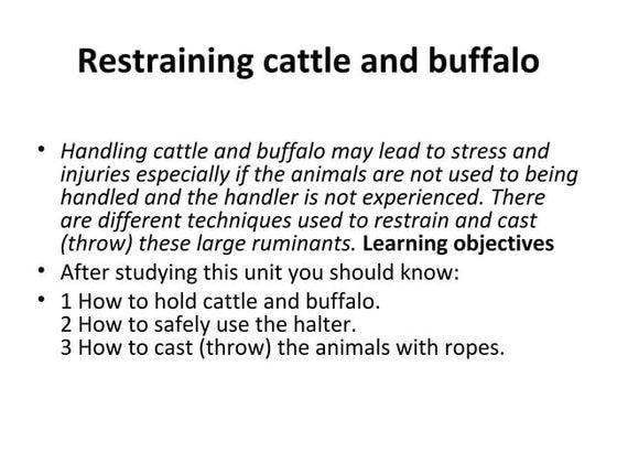 Animal handling & Restrain | PPTX