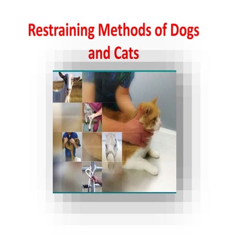 Physical Restraining Methods of dogs and cats | PPTX
