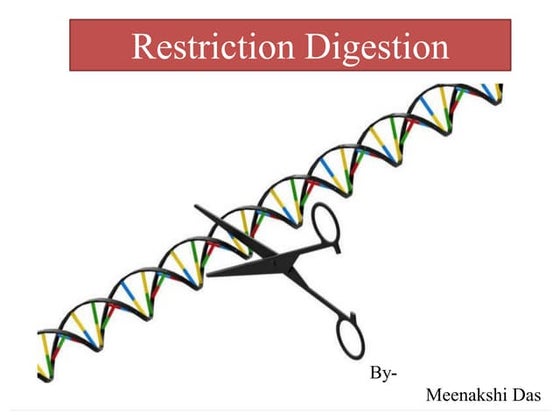 Restriction enzymes | PPT