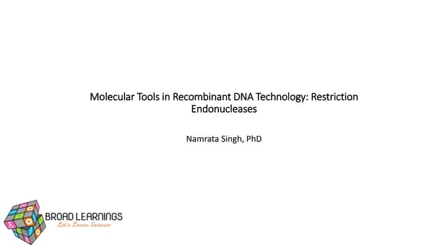 Restriction Modification System Types Of Restriction Enzymes Pptx