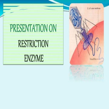 restriction endonucleases.pptx | Chemistry | Science