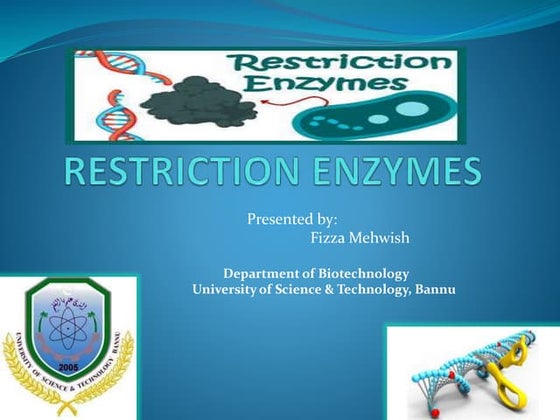 Restriction Enzyme | PPTX | Chemistry | Science