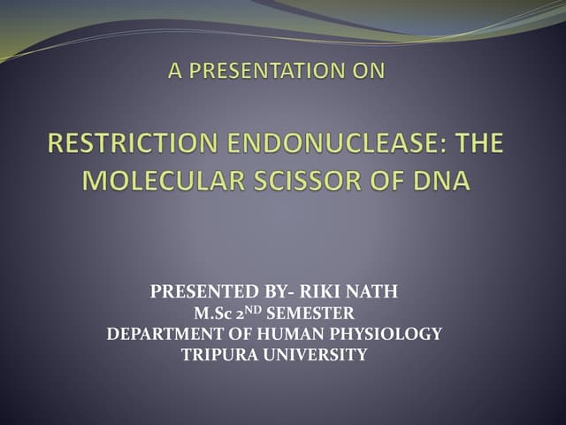 Restriction Modification System Types Of Restriction Enzymes Pptx