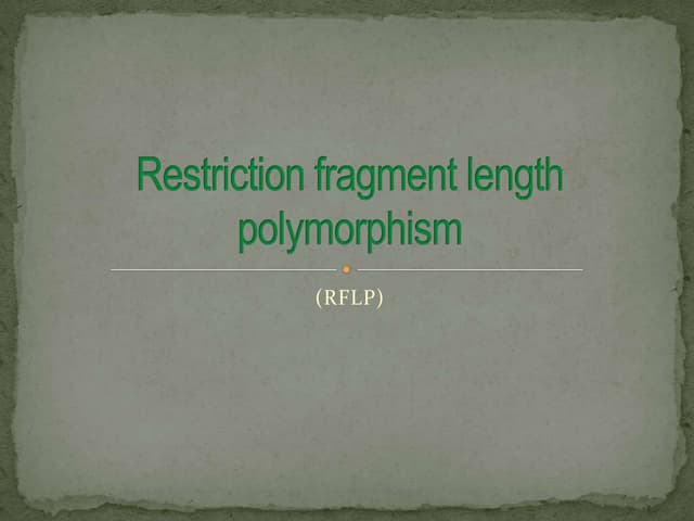 VNTR and RFLP | PPTX