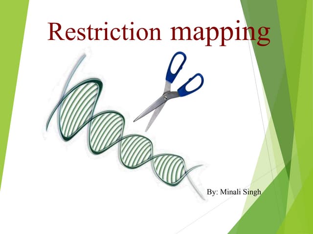 Restriction Mapping Ppt