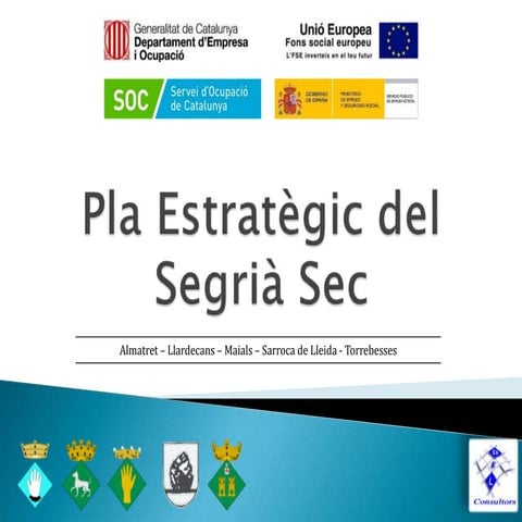 Resum de Pla Estratègic del Segrià Sec | PPTX