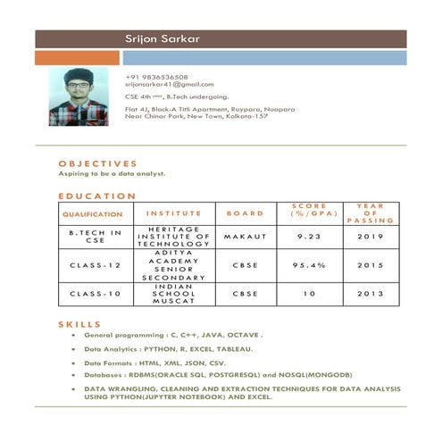 Resume Data Analyst | PDF