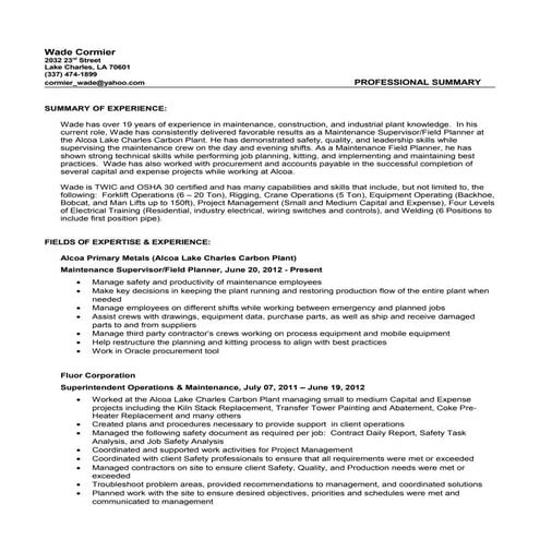 Luis Romero resume | DOC