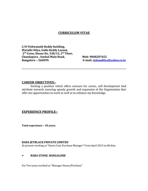 CURRICULUM VITAE OF LERATO MAKATE | DOCX