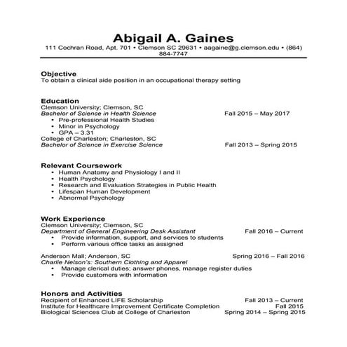 Professional Resume | DOCX