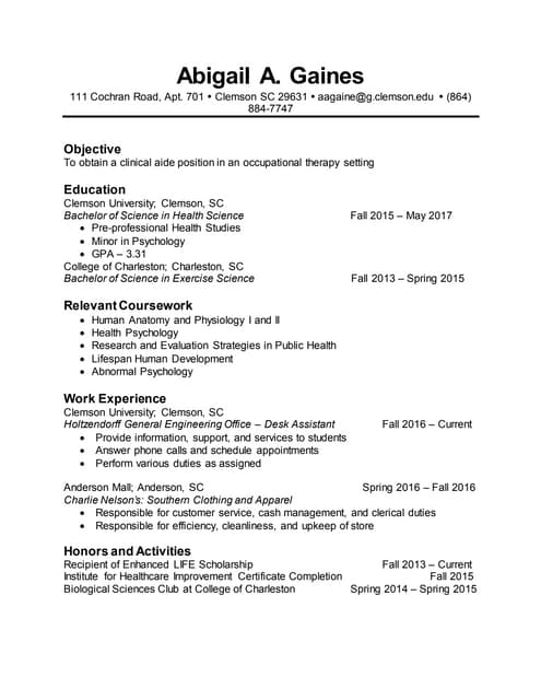 Professional Resume | PDF