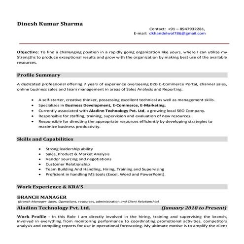 Updated Resume | PDF