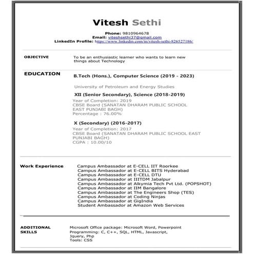 Vitesh_Resume | PDF