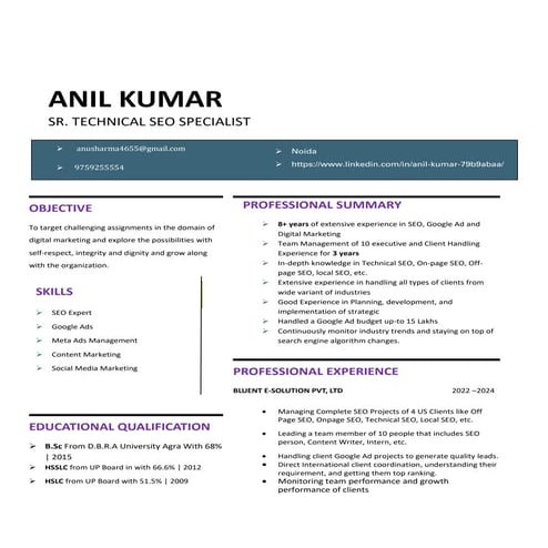 Anil Kumar curriculum vitae for SEO profile | PDF