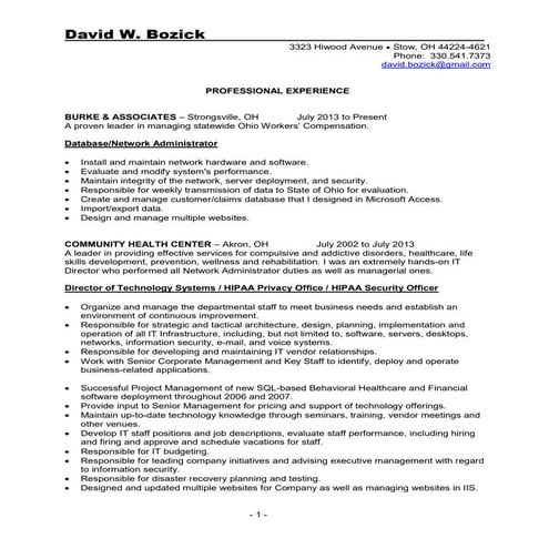 Resume David W. Bozick | PDF | IT and Internet Support | Internet