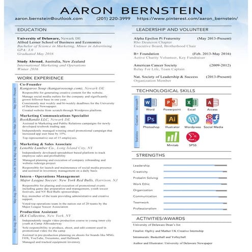Aaron Bernstein Professional Resume | PDF