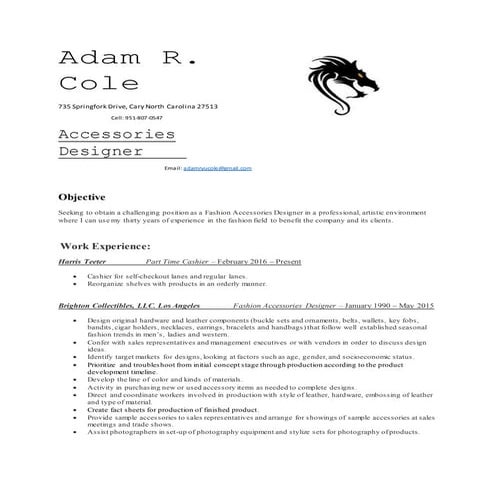 Resume accessories designer | DOCX