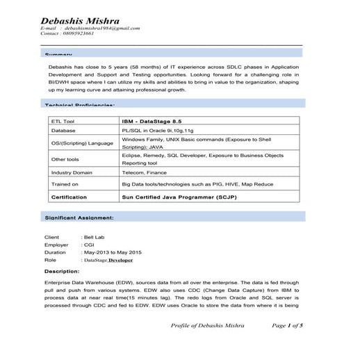 Resume debashis mishra | DOC | IT and Internet Support | Internet