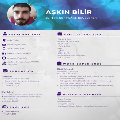 Computer Programmer Resume | PDF