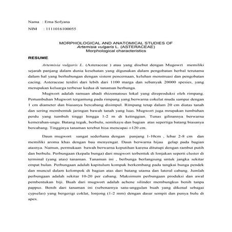 Resume jurnal | DOCX